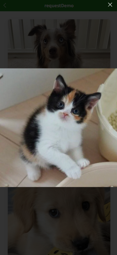 uni-app学习笔记三十一--previewImage图片预览和懒加载_uni.previewimage-CSDN博客