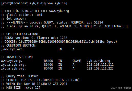 RHCE(5)DNS域名解析服务器-CSDN博客