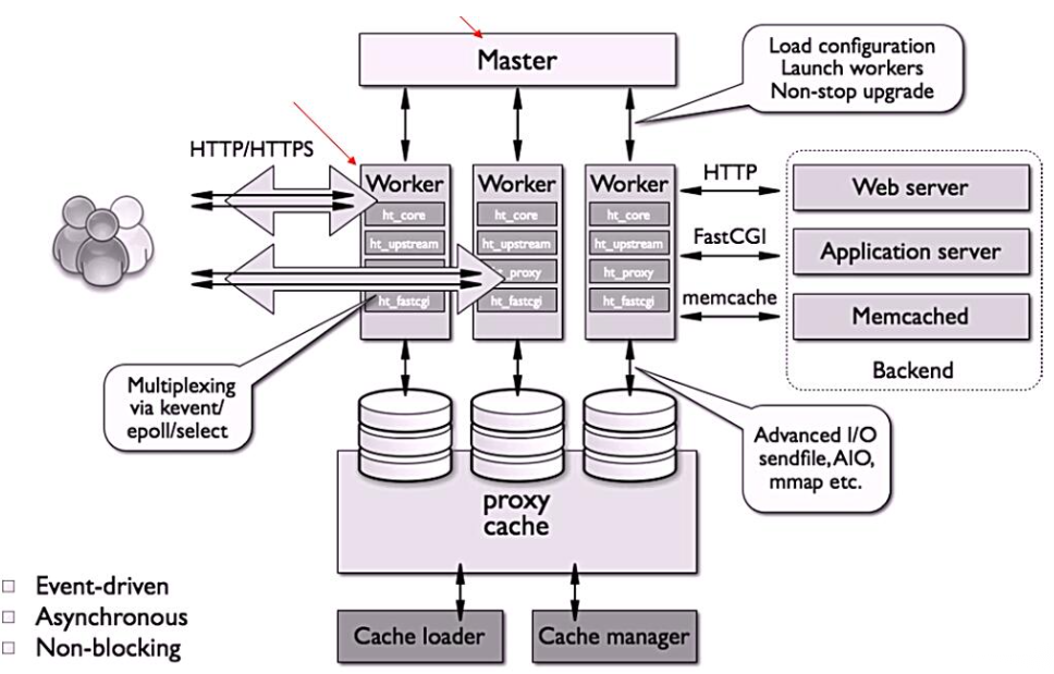 Nginx高性能Web服务器全解析-CSDN博客