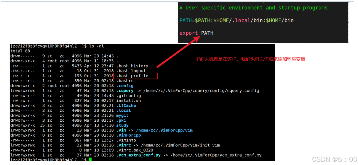 Linux：进程概念（四.main函数的参数、环境变量及其相关操作）_linux main-CSDN博客