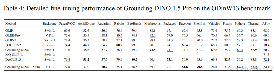 Grounding DINO 1.5: Advance the “Edge” of Open-Set Object Detection——推动开放集目标检测的“边缘”-CSDN博客