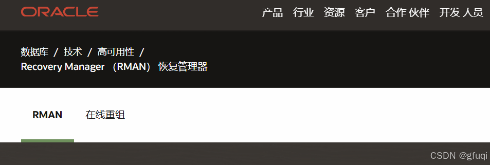 Oracle数据库备份工具,可以备份oracle数据库的工具有那些?oracle备份工具 Csdn博客