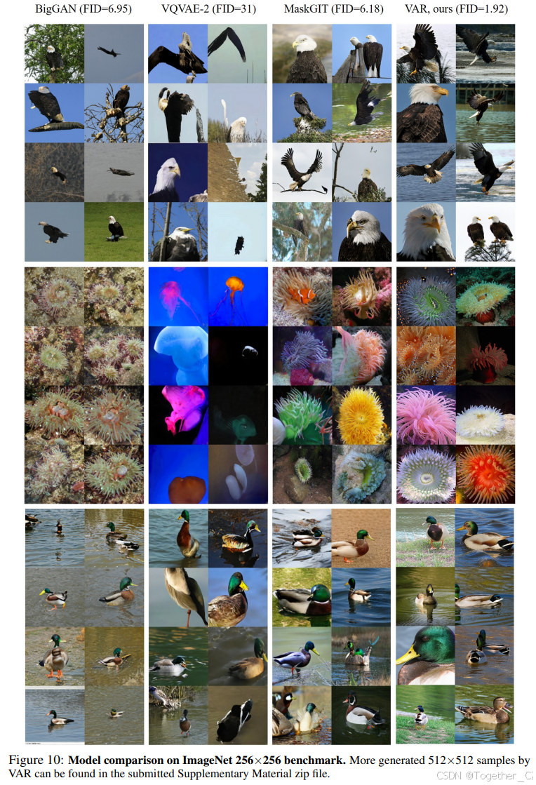 Visual Autoregressive Modeling: Scalable ImageGeneration via Next-Scale Prediction——视觉自回归建模 ...