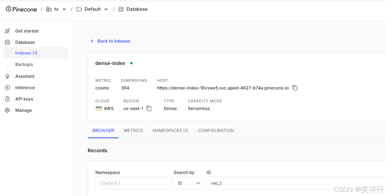 将本地文件拆分后存入向量数据库pinecone_pinecone向量数据库本地部署-CSDN博客