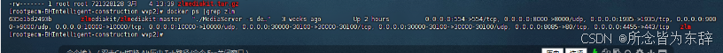 docker部署Zlm服务_zlm docker-CSDN博客