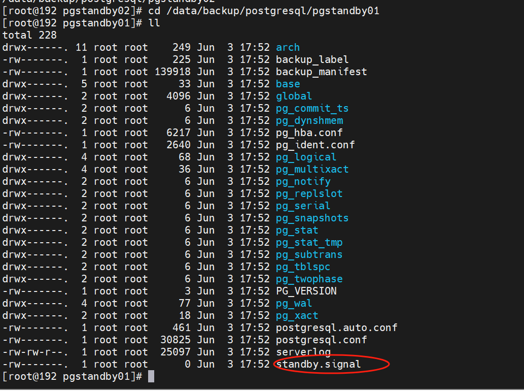 PostgreSQL【高可用篇】01：PostgreSQL17.5版本【宿主机】主从复制搭建_postgresql 高可用-CSDN博客