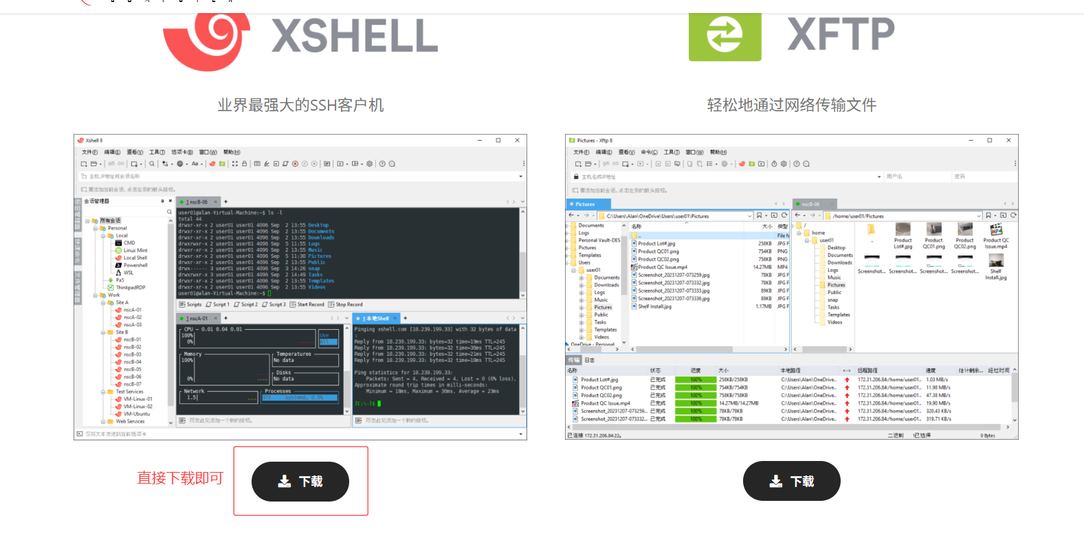 Xshell8下载教程和连接远端云服务器(详细教学)-CSDN博客