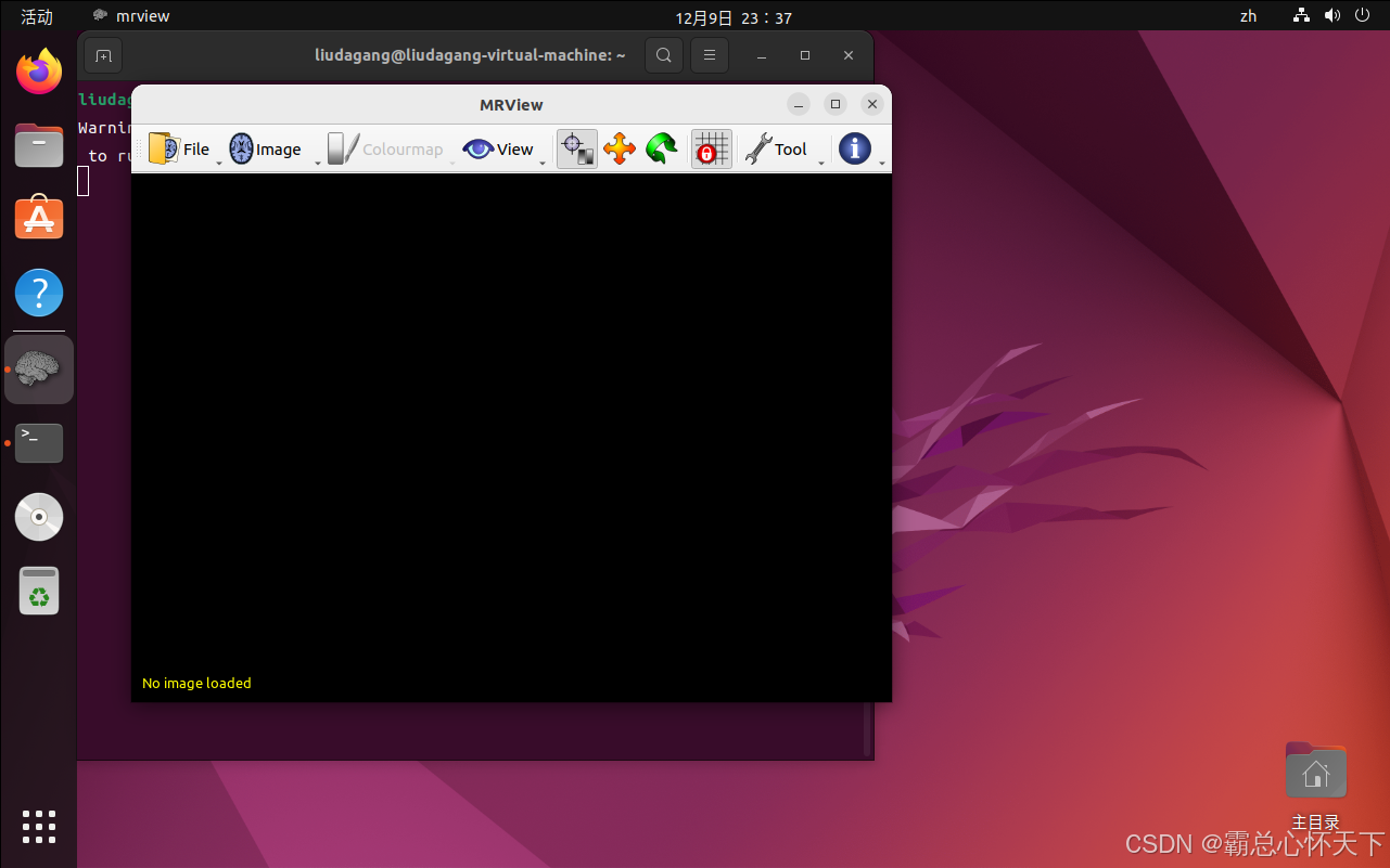 创建LINUX虚拟机下载MRtrix3-CSDN博客