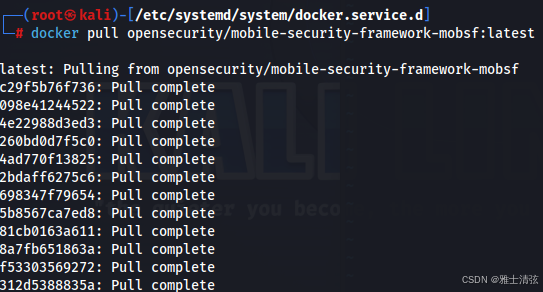 Kali系统一键安装Docker并设置代理，轻松引入MobSF移动安全检测_kali安装mobsf-CSDN博客