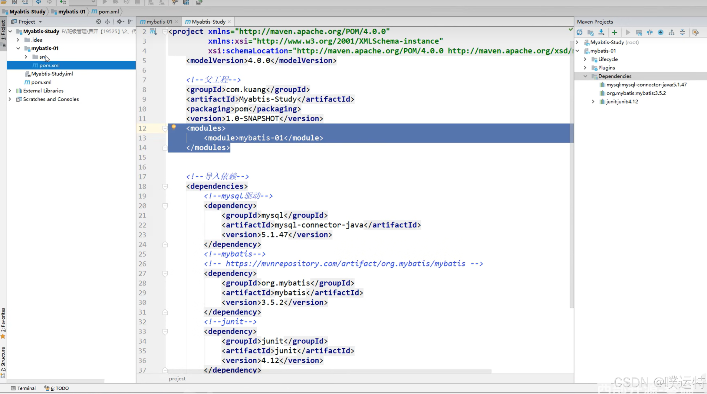 Mybatis基础-CSDN博客