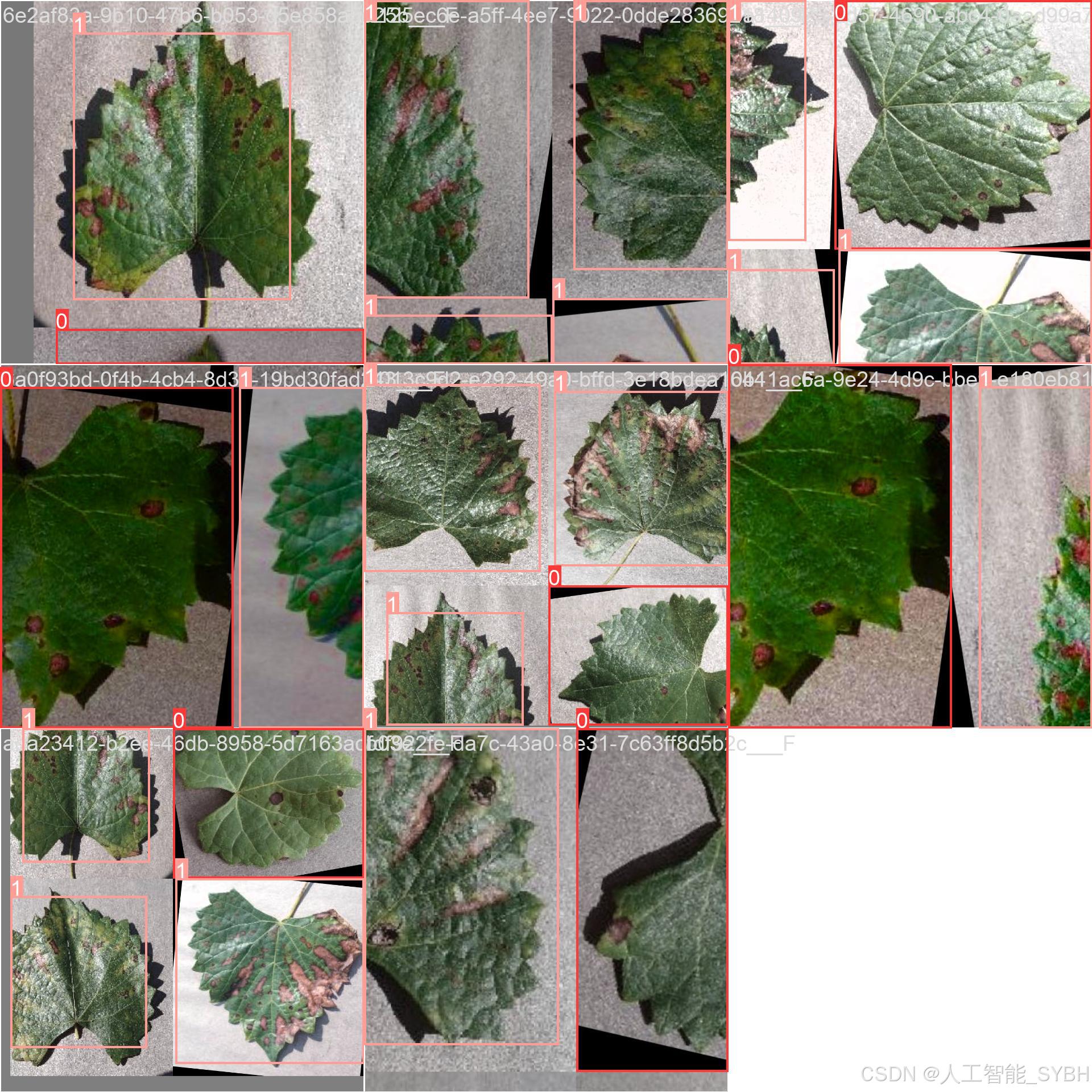 基于深度学习YOLOv10的葡萄叶片病害检测系统（YOLOv10+YOLO数据集+UI界面+Python项目源码+模型）_基于深度学习的葡萄叶部病害图像分类系统-CSDN博客
