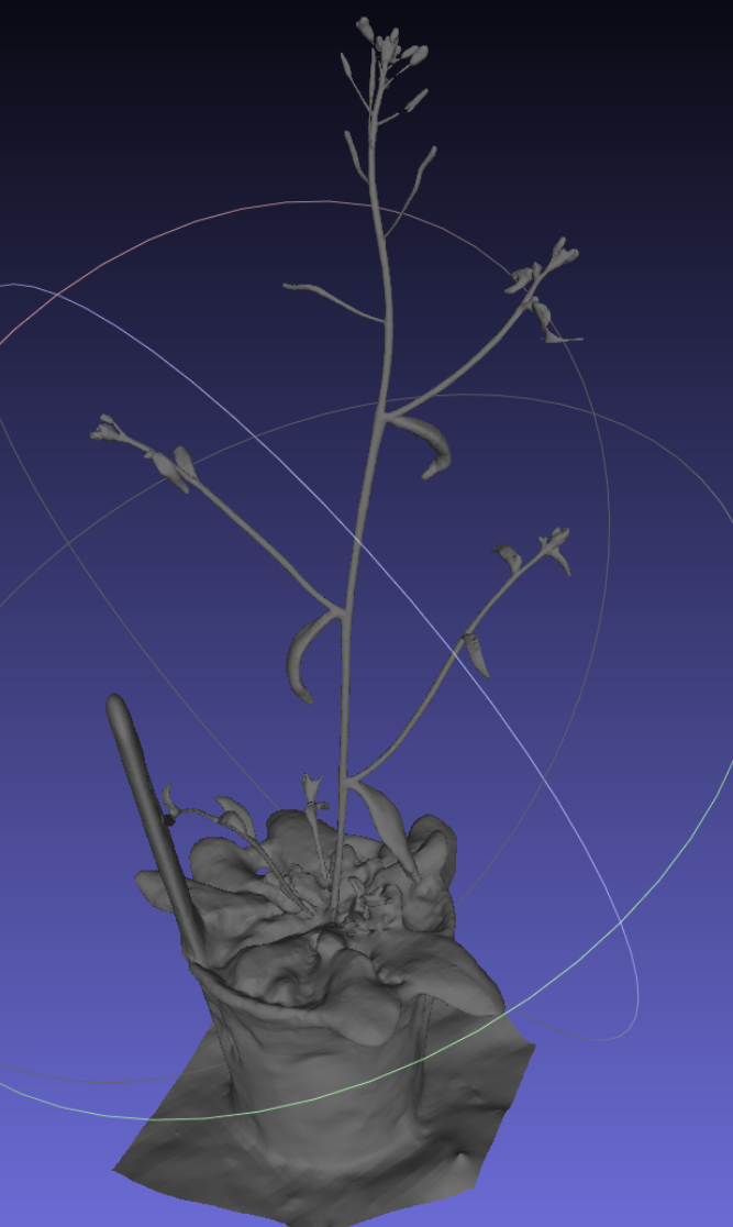 Neuralangelo复现-CSDN博客