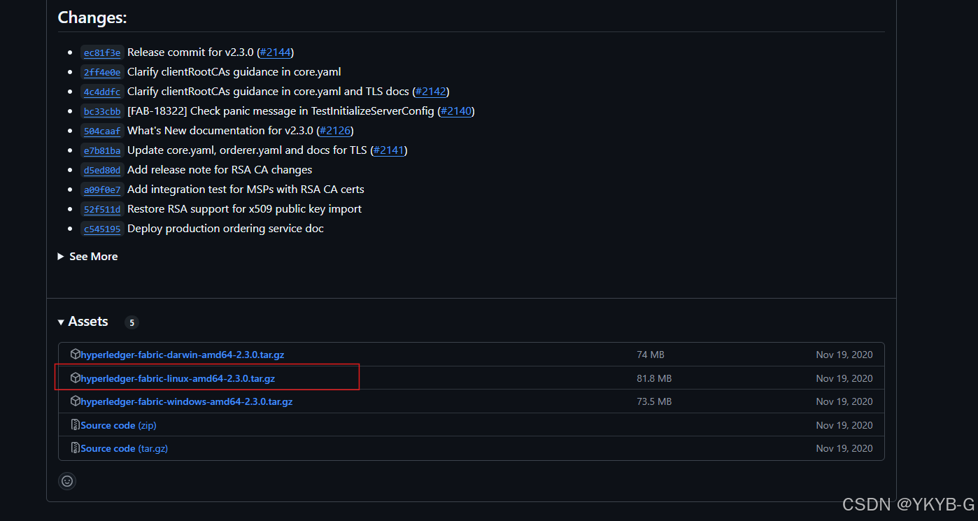 【Hyperledger Fabric2.3环境搭建】_hyperledger fabric 环境搭建-CSDN博客