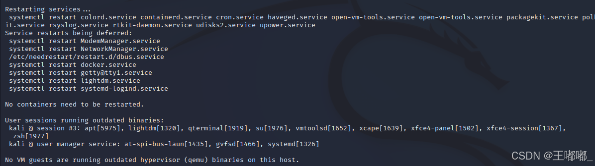 QEMU11安装以及启动arm Debian_qemu debian-CSDN博客