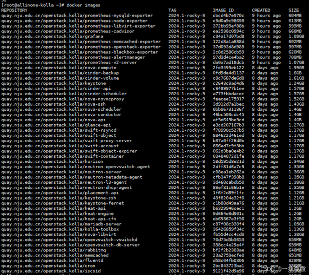 Kolla-Ansible部署OpenStack(含Grafana+Prometheus安装)-CSDN博客