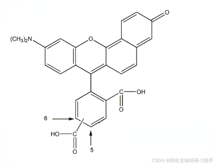 CAS:126208-12-6,5.5-(and-6)-Carboxy SNARF-1的相关内容-CSDN博客