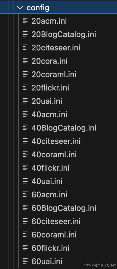【图神经网络】 AM-GCN代码实战（3）【pytorch】代码可运行-CSDN博客