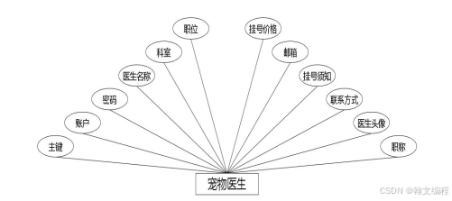 ssm+vue725基于Java的宠物医院预约挂号系统的设计与实现-CSDN博客