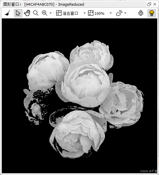 halcon抠图测试_halcon怎么抠图-CSDN博客