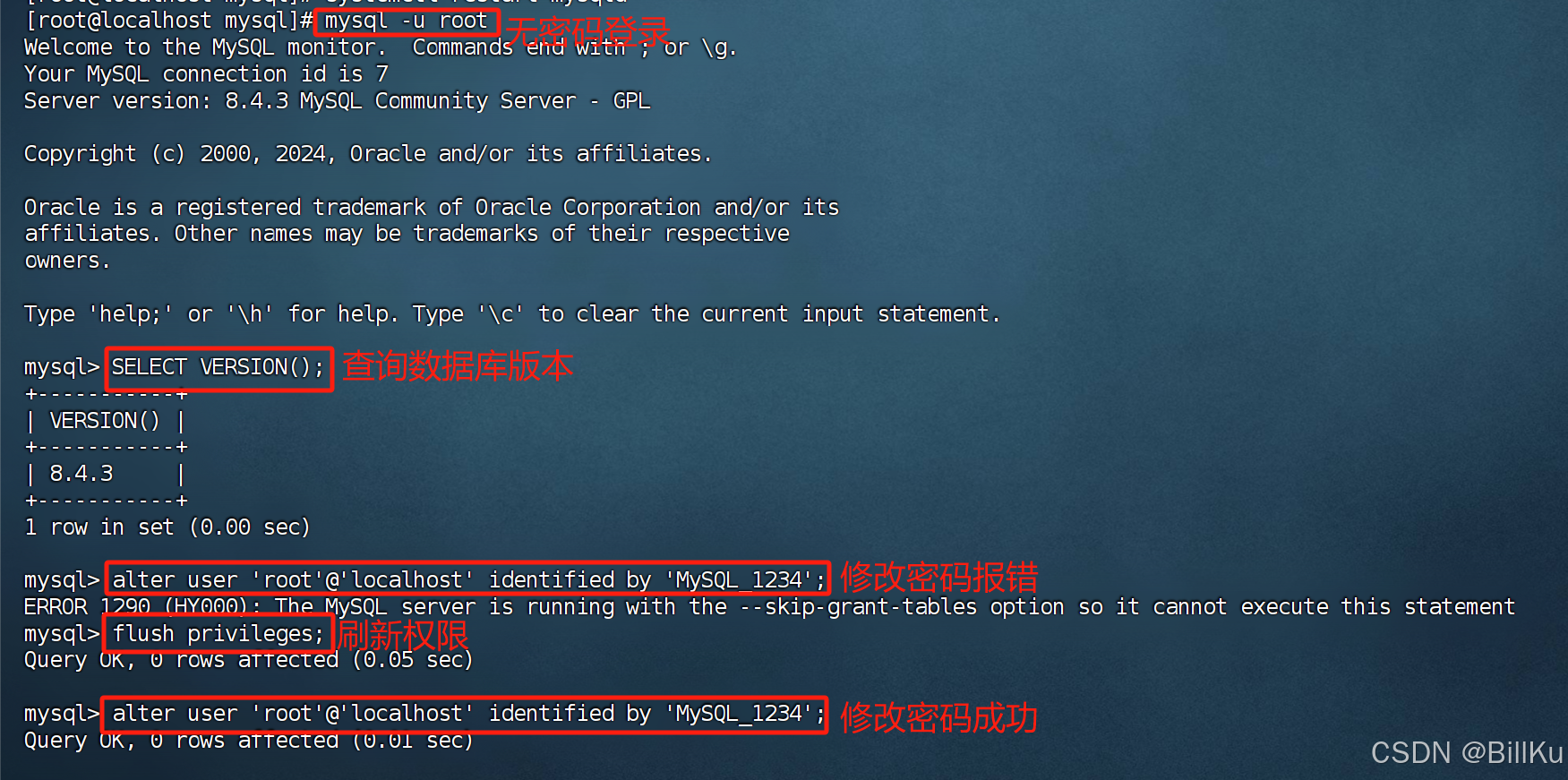 跳过密码验证登录后，修改密码报错The MySQL server is running with the --skip-grant-tables option so it cannot exe ...