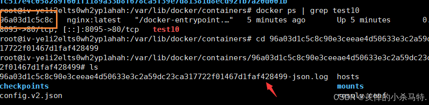 Docker容器操作流程超详细攻略！attach/detach模式怎么选？自动重启如何配置？等等等 一篇带你全吃透！_docker detach-CSDN博客