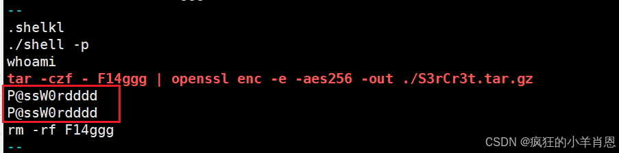 DASCTF2024暑期挑战赛|为热爱，并肩作战_dasctf 2024暑期挑战赛-CSDN博客