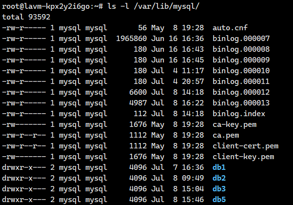 【InnoDB存储引擎1】InnoDB存储引擎简介-CSDN博客