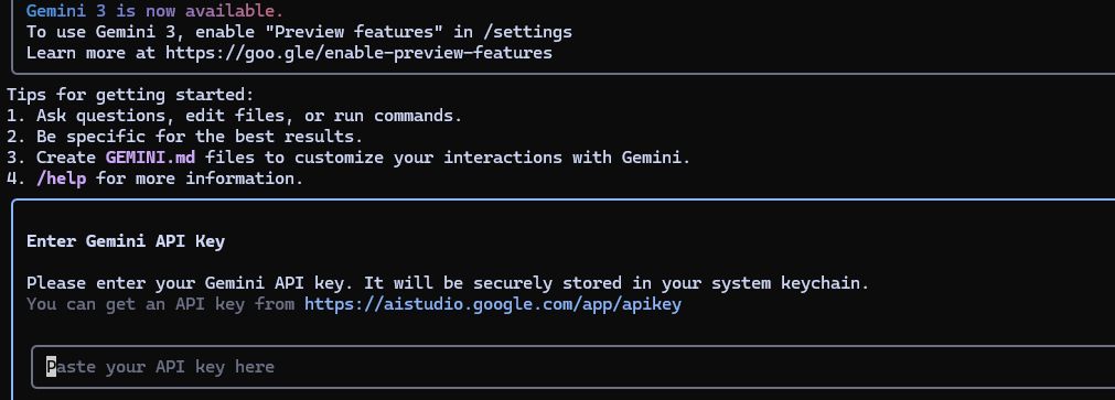 gemini cli 配置了 ~/.gemini/.env没生效,需要输入API KEY的原因及解决方案-CSDN博客