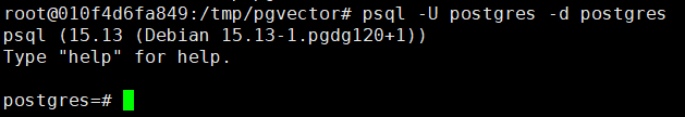 Linux环境下基于docker安装 Postgresql数据库并配置 Pgvectordocker安装pgvector Csdn博客