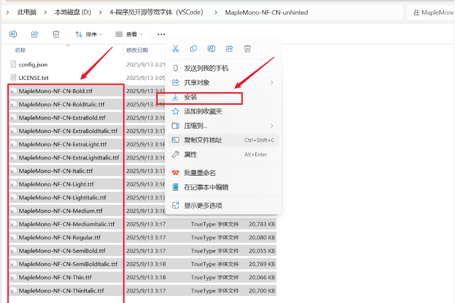 VSCode安装Maple Mono NF CN字体-CSDN博客