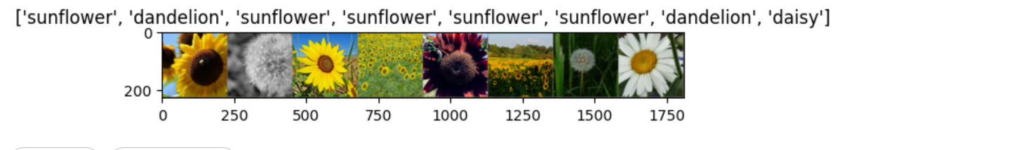 Flowers-Recognition花卉识别系统：基于PyTorch的完整实现_flowers recognition-CSDN博客