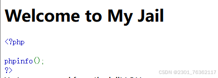 basectf ez_php_jail (GET请求与点)（highlight_file()模糊匹配glob）_ctf jail-CSDN博客