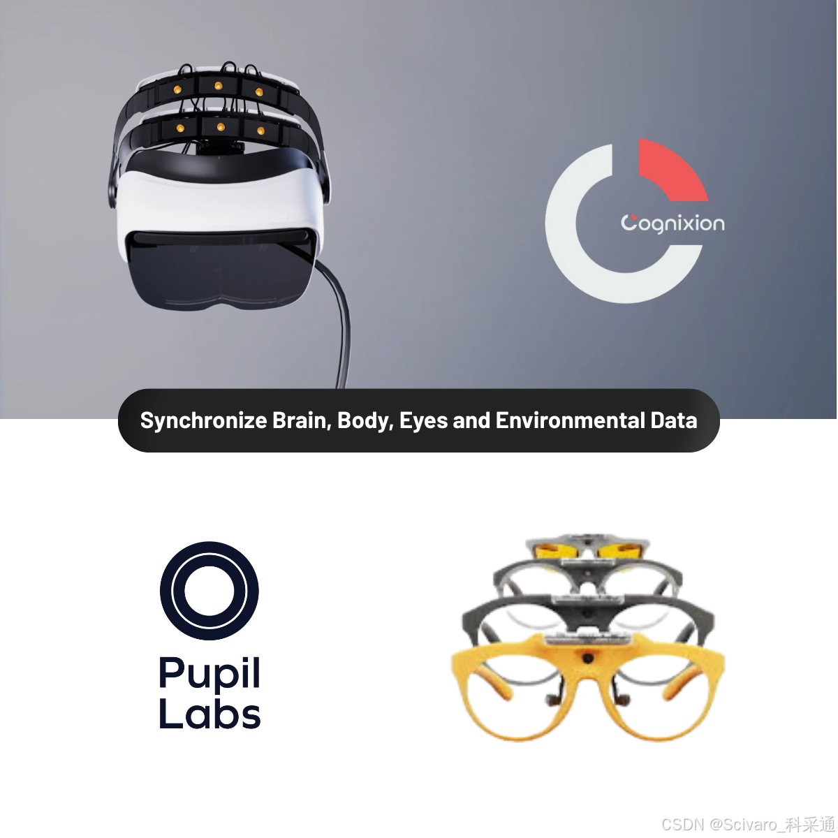 Pupil Labs 开源眼动追踪器：科研与开发者的理想选择-CSDN博客