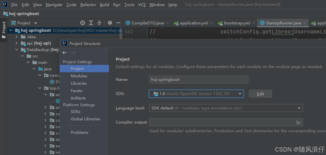 【HOJ部署系列】HOJ后端代码配置-CSDN博客