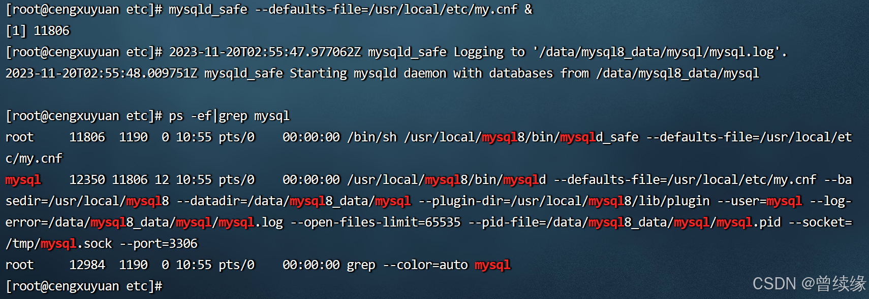 超详细教程：Linux系统下安装MySQL，一文读懂！_linux系统下载mysql-CSDN博客