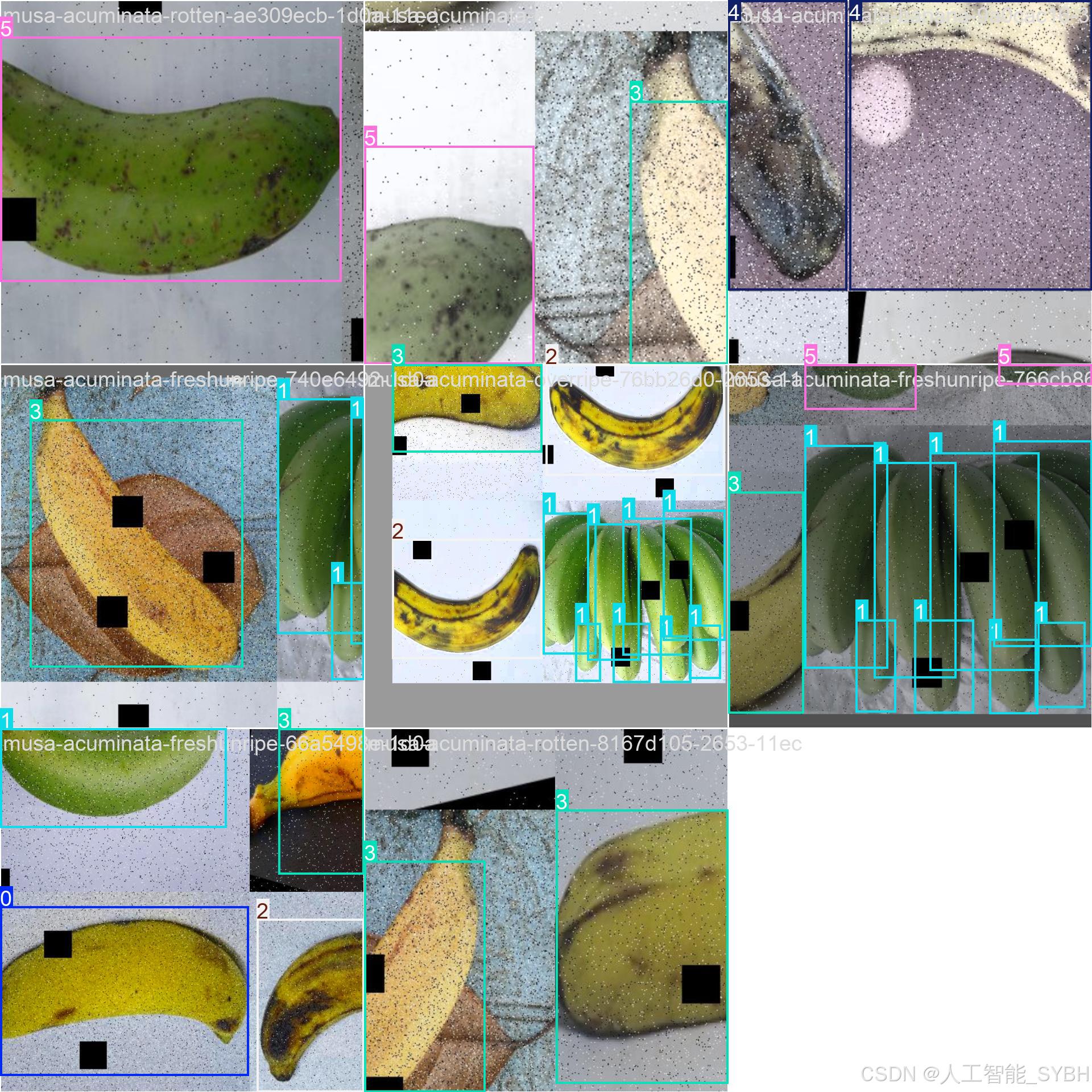 基于yolov8的香蕉成熟度检测系统（深度学习模型ui界面python代码训练数据集） Csdn博客