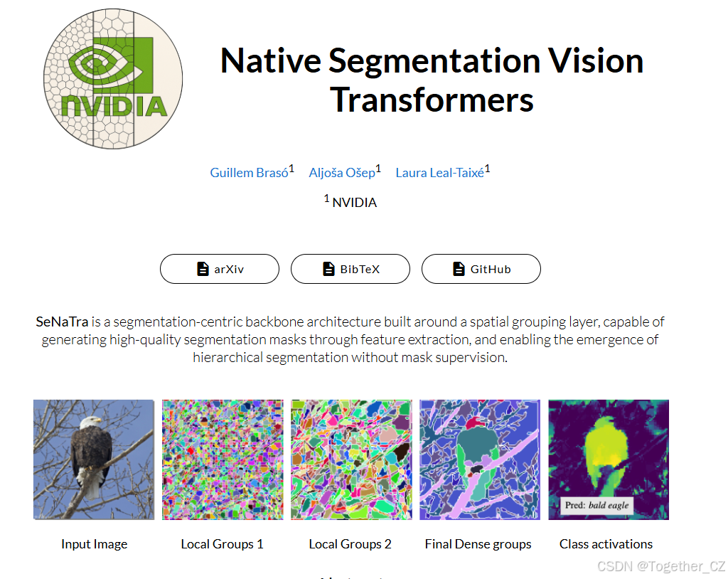 Native Segmentation Vision Transformers——原生分割视觉变换器_native transformer-CSDN博客