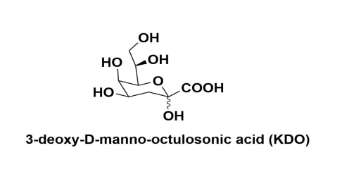 3-deoxy-D-manno-octulosonic acid (KDO)概述_3-deoxy-d-manno-0ct-2-ulosonic ...