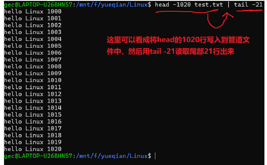 Linux指令(man,cp,mv,cat,more,less,head,tail)-CSDN博客