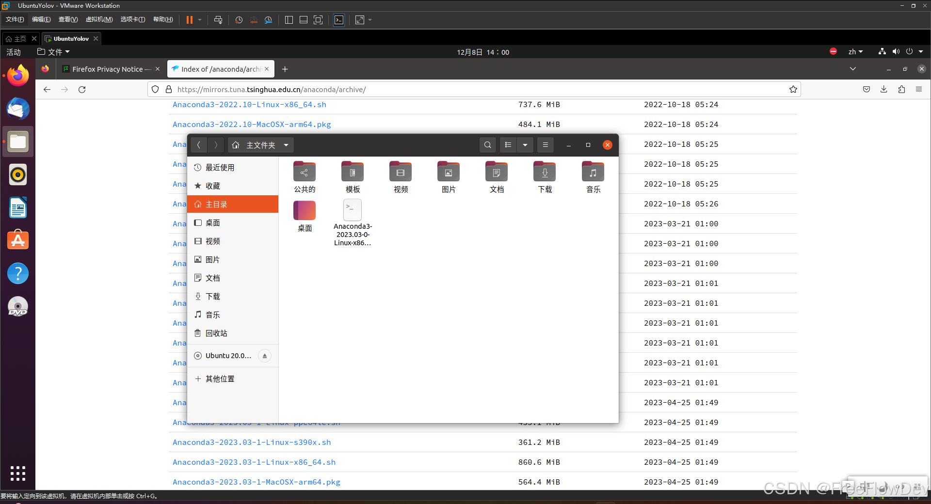 Linux下配置Yolov5_linux yolov5-CSDN博客