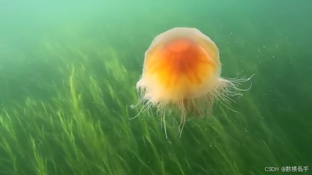 水下图像增强与复原（2）——暗通道先验算法matlab/python实现_水下图像复原-CSDN博客