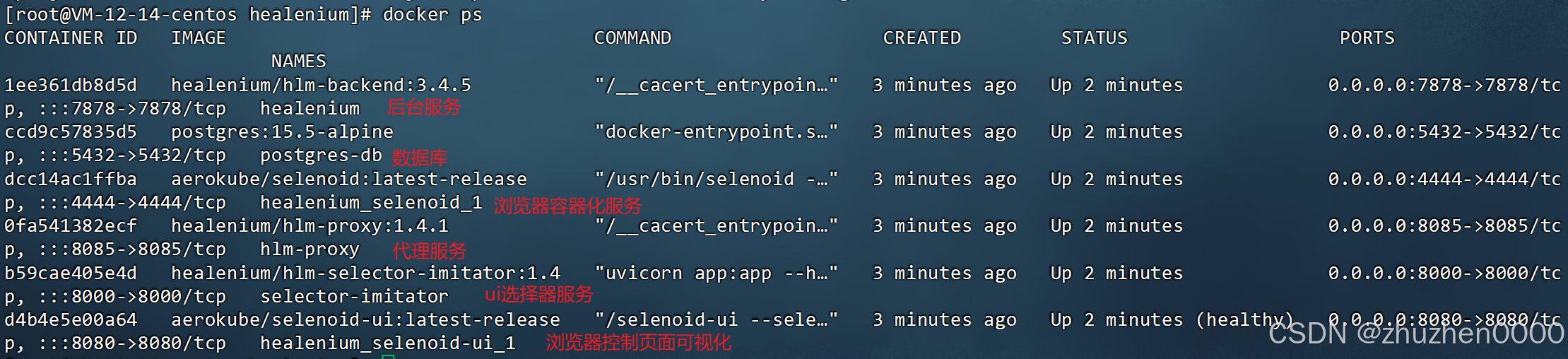 【UI自动化自愈教程 healenium】元素定位失败的自动解决办法-CSDN博客