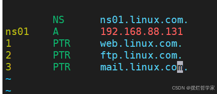 DNS服务_dns 5.5.5.5-CSDN博客
