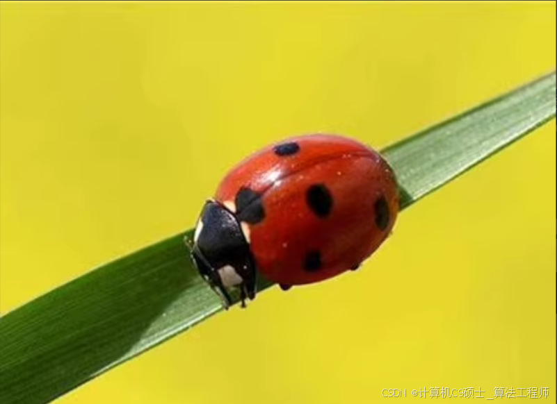 使用yolov8训练该数据集农业害虫检测数据集 农业虫害数据集该数据集的害虫类别共为三类，该数据集共4010张图片，标签文件为xml格式，4010个。 Csdn博客