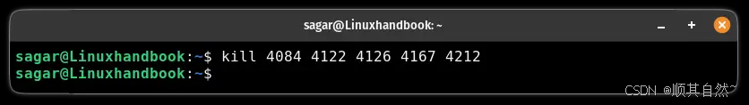 linux命令-kill、pkill 和 killall_pkill和kill-CSDN博客