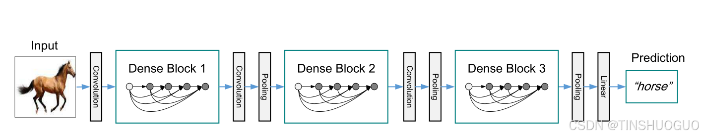 DenseNet 结构详解！！！（只讲结构，没有代码，保证你能看懂）_dense block-CSDN博客