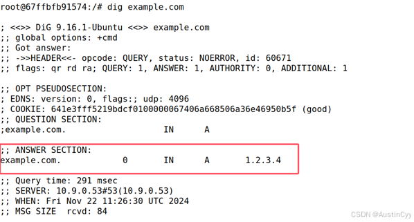 【Seed-Labs 2.0】Local DNS Attack Lab-CSDN博客
