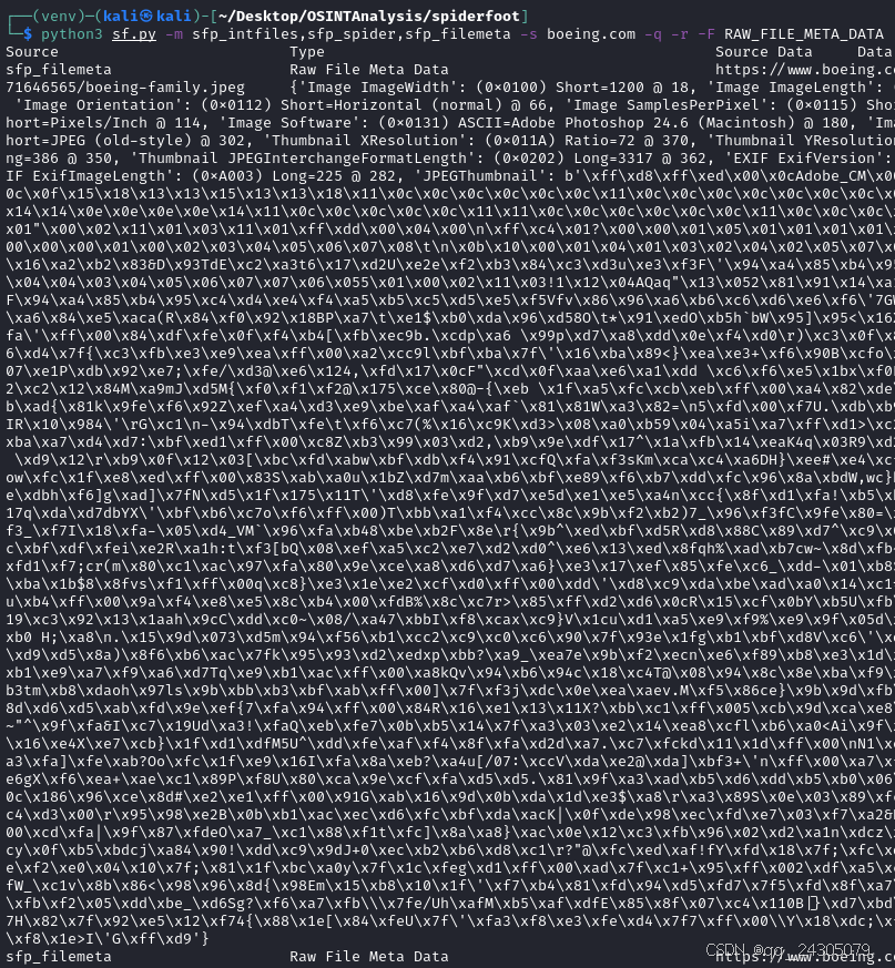 SpiderFoot：一款强大的开源OSINT神器！全参数详解教程！Kali Linux 教程！-CSDN博客