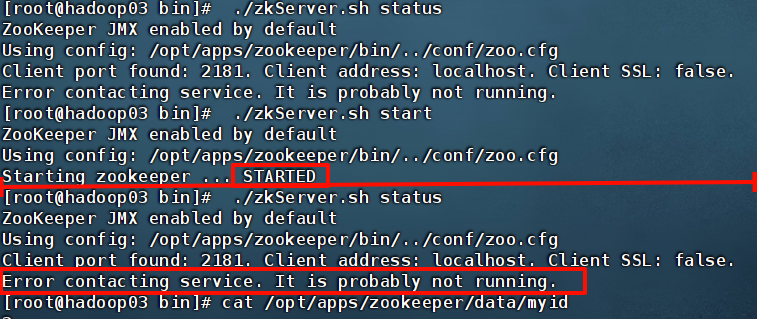 Linux安装zookeeper集群环境以及配置-CSDN博客