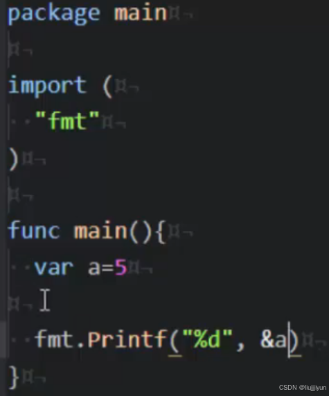 Golang 指针golang打印指针 Csdn博客